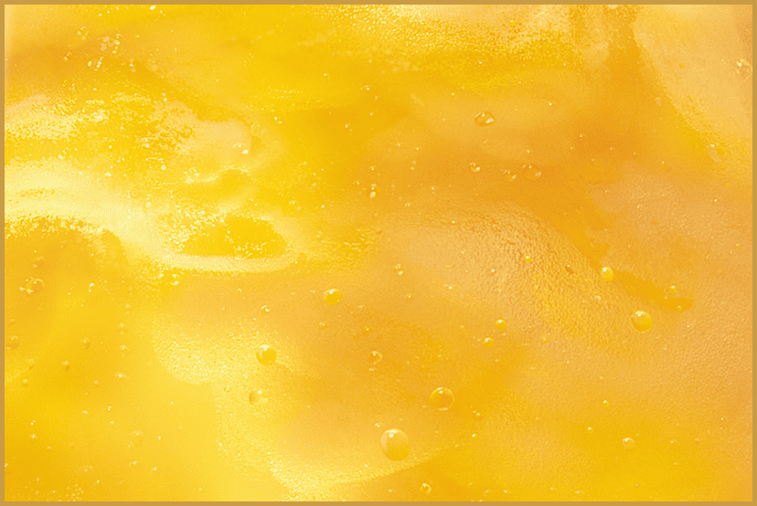 LINEUP | 商品紹介